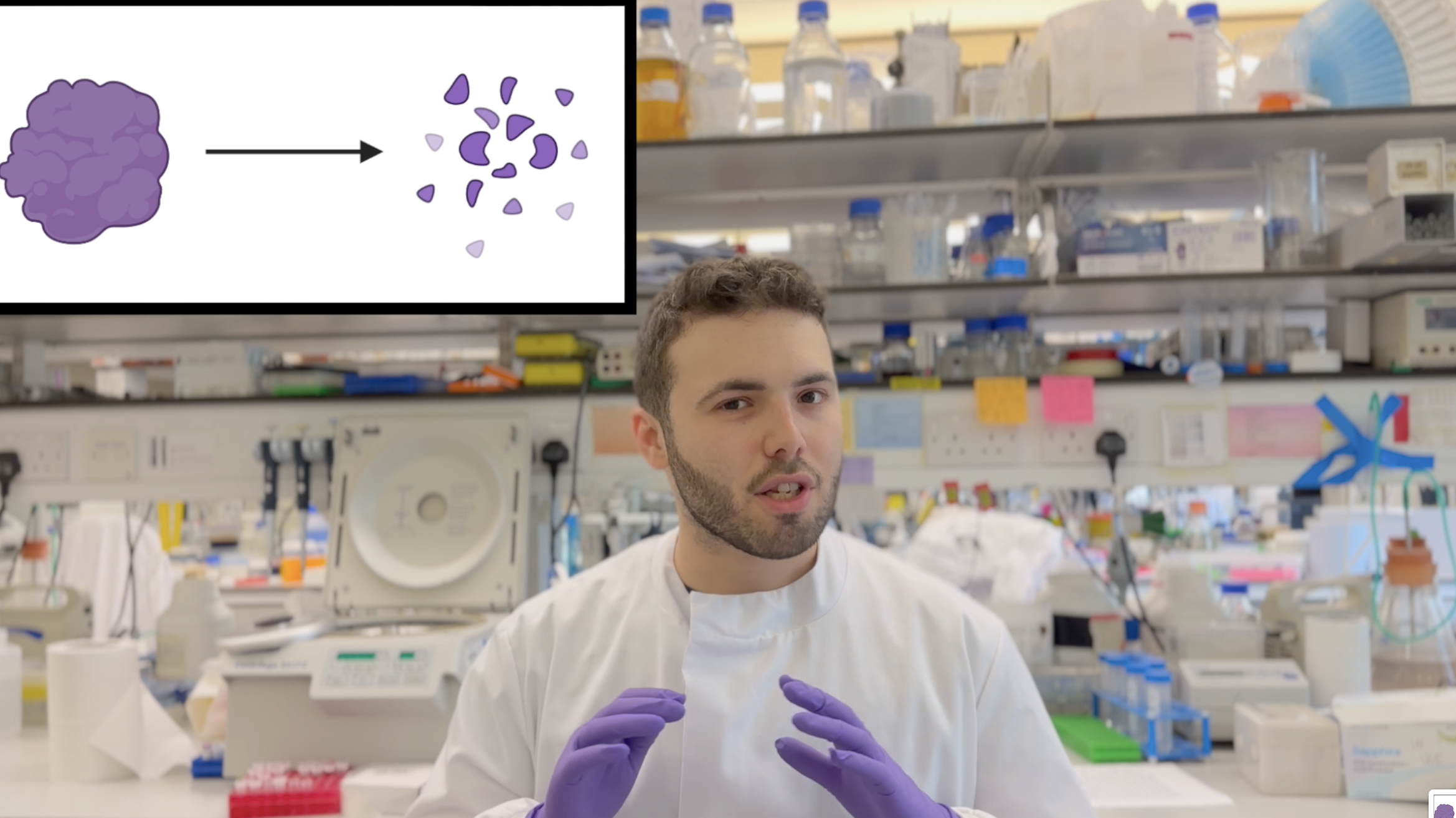 3 Minute Thesis - DPhil Student Danny Gold | Barr Lab - Department of ...